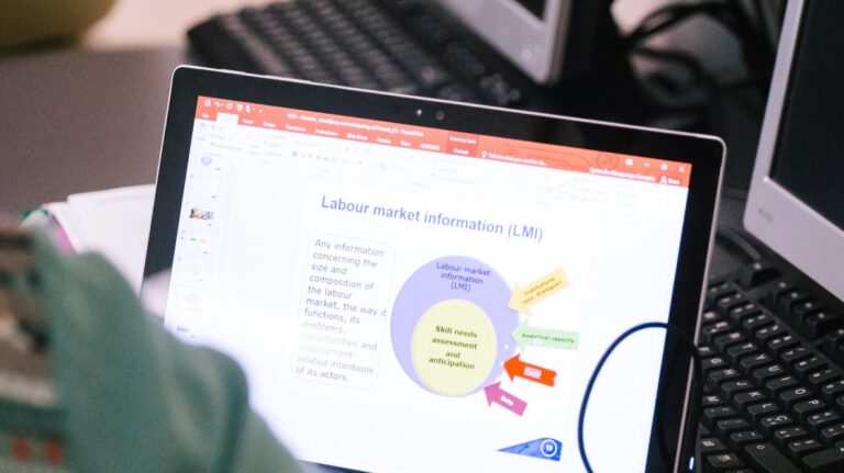 Labour market information systems (LMIS) - ILOSTAT